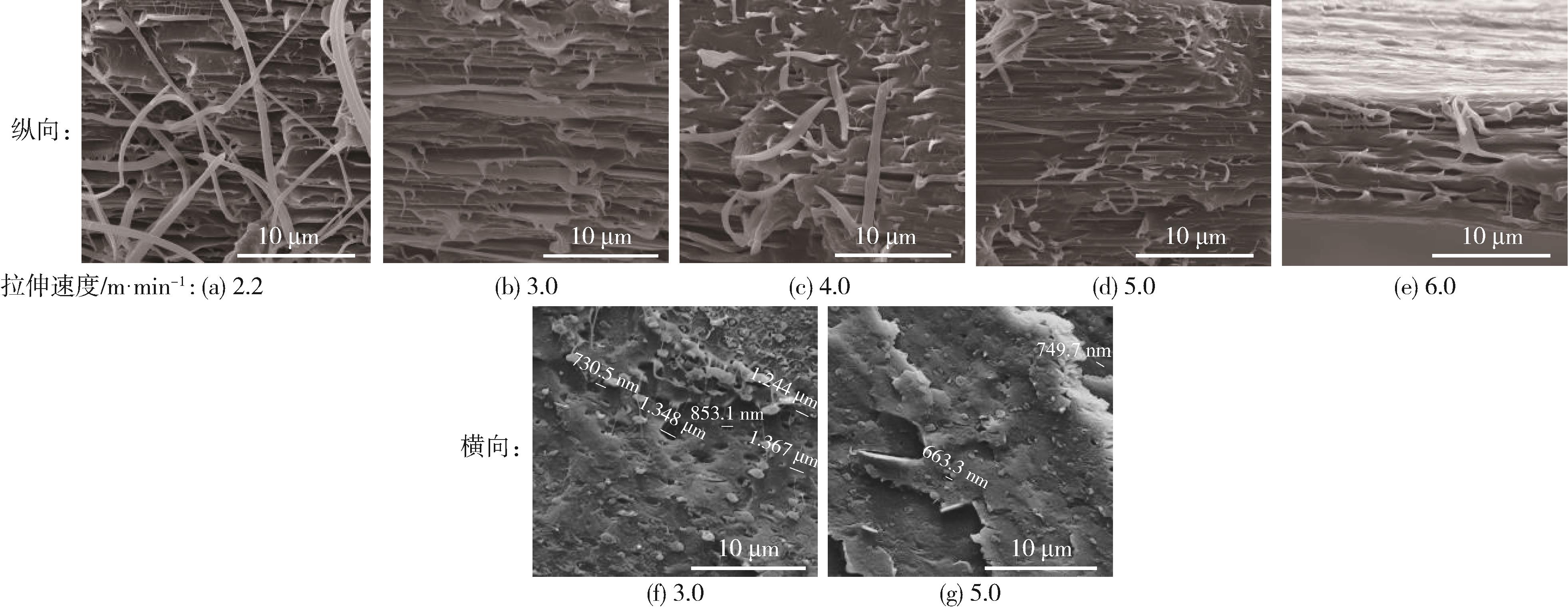 工艺条件对PBAT/PLA原位成纤共混体系结构与性能的影响