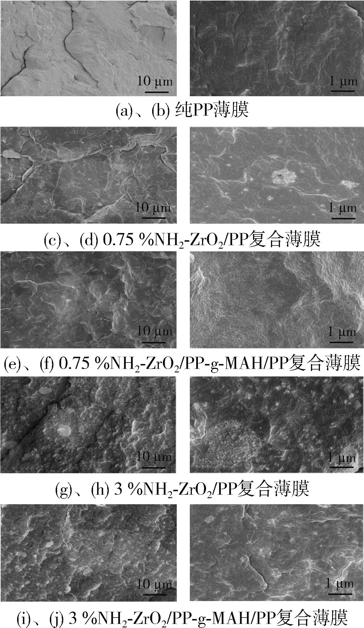 双轴拉伸改性氧化锆/聚丙烯复合介电薄膜的制备与性能研究