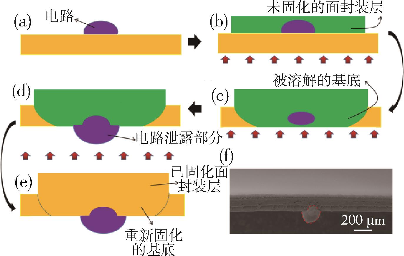 基于PI基材的液态金属柔性电路线封装3D打印技术研究